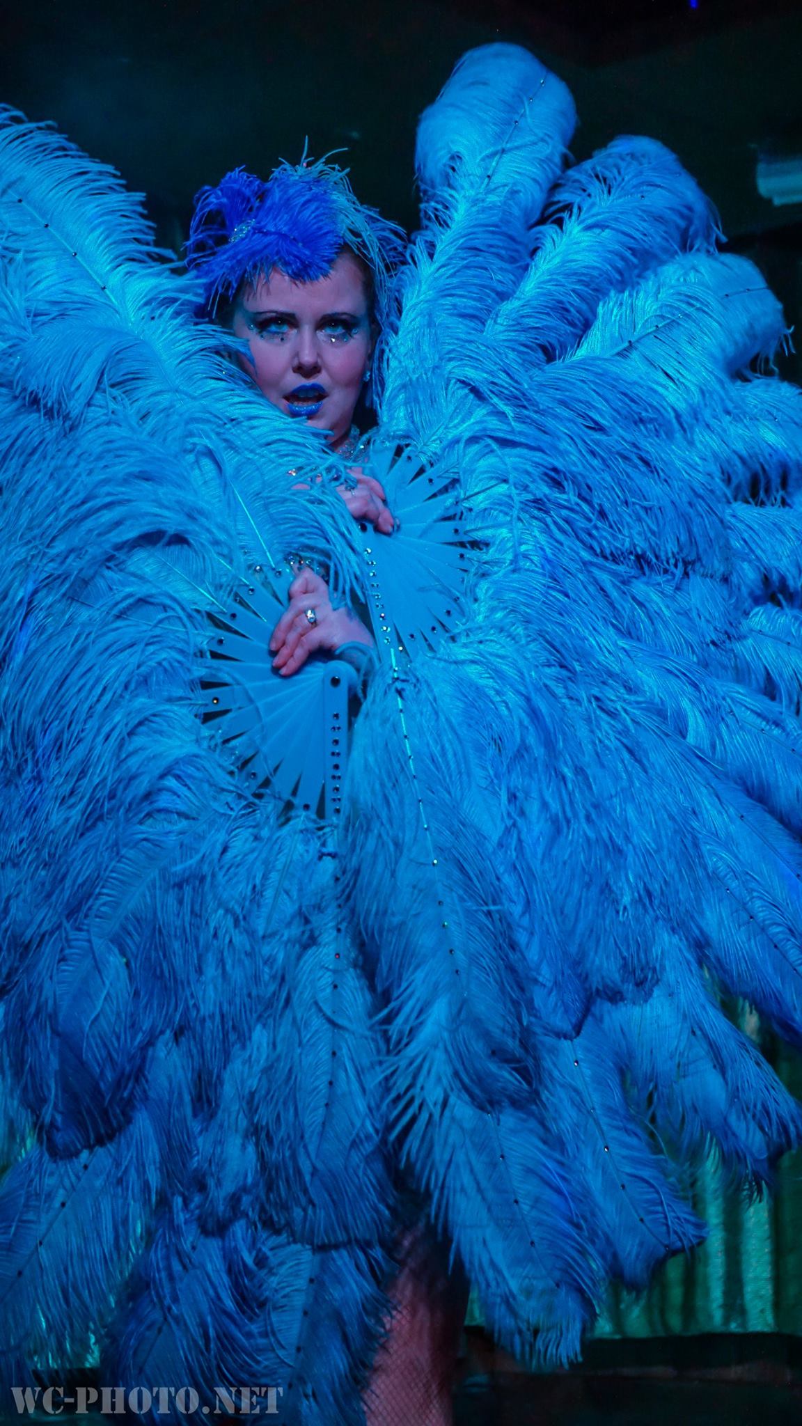 Find the best burlesque shows performers Washington DC DMV